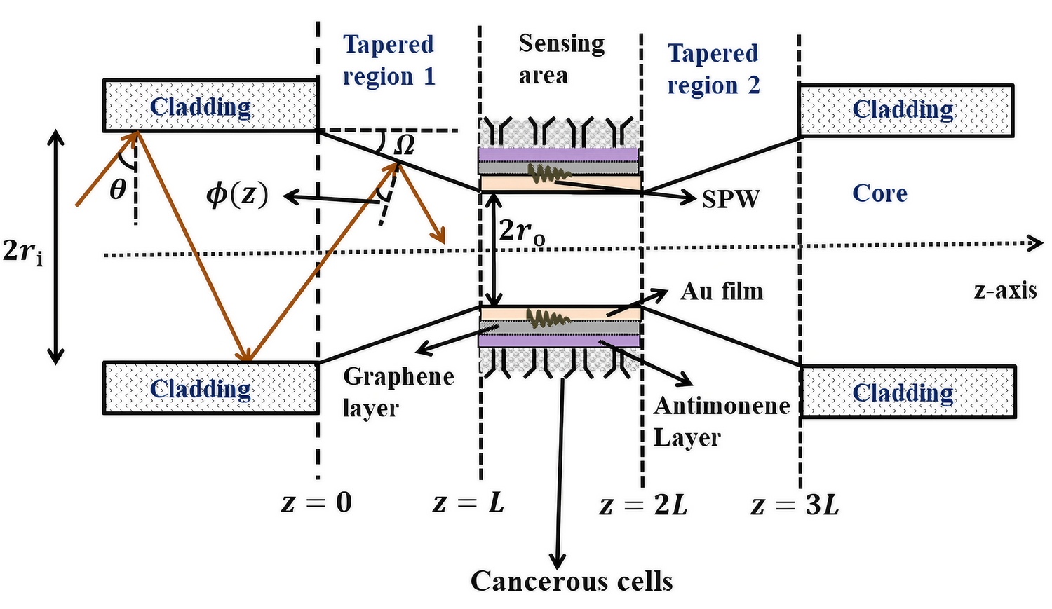 Antimonene-Coated Uniform-Waist Tapered Fiber Optic Surface Plasmon Re – SZPHOTON