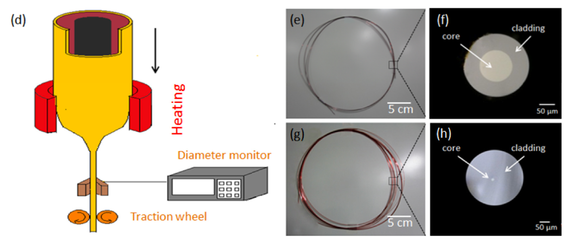 Scholar List Scholar List 100% Heat-and-pull rig for fiber taper fabri ...