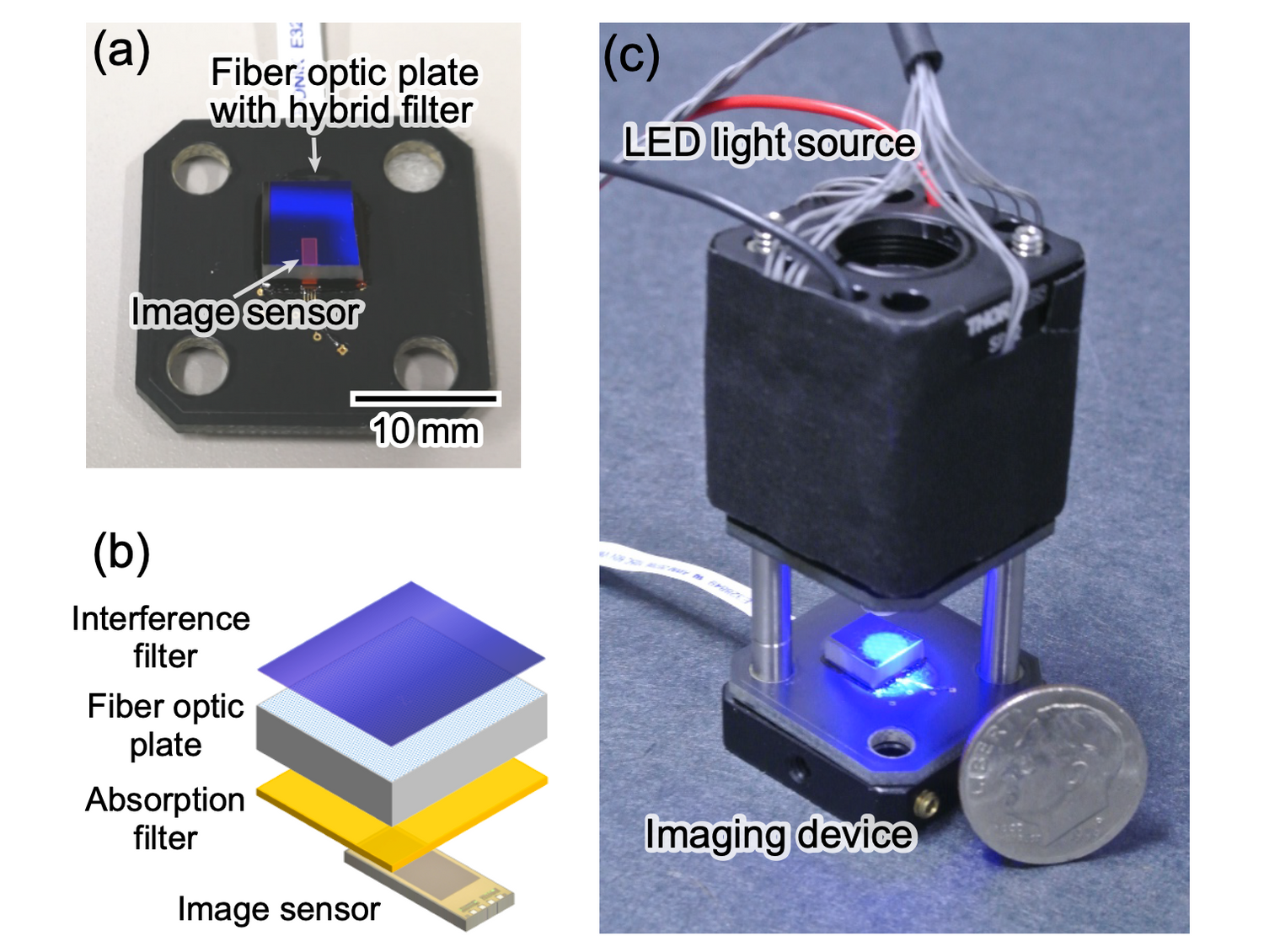 Highly Sensitive Lens Free Fluorescence Imaging Device Enabled By A Co