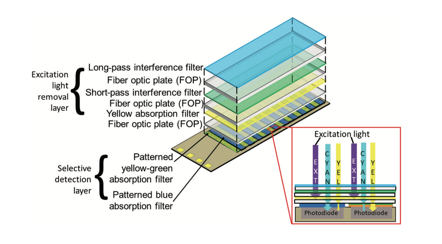 Lens-free Dual-color Fluorescent CMOS Image Sensor for Förster Resonan ...