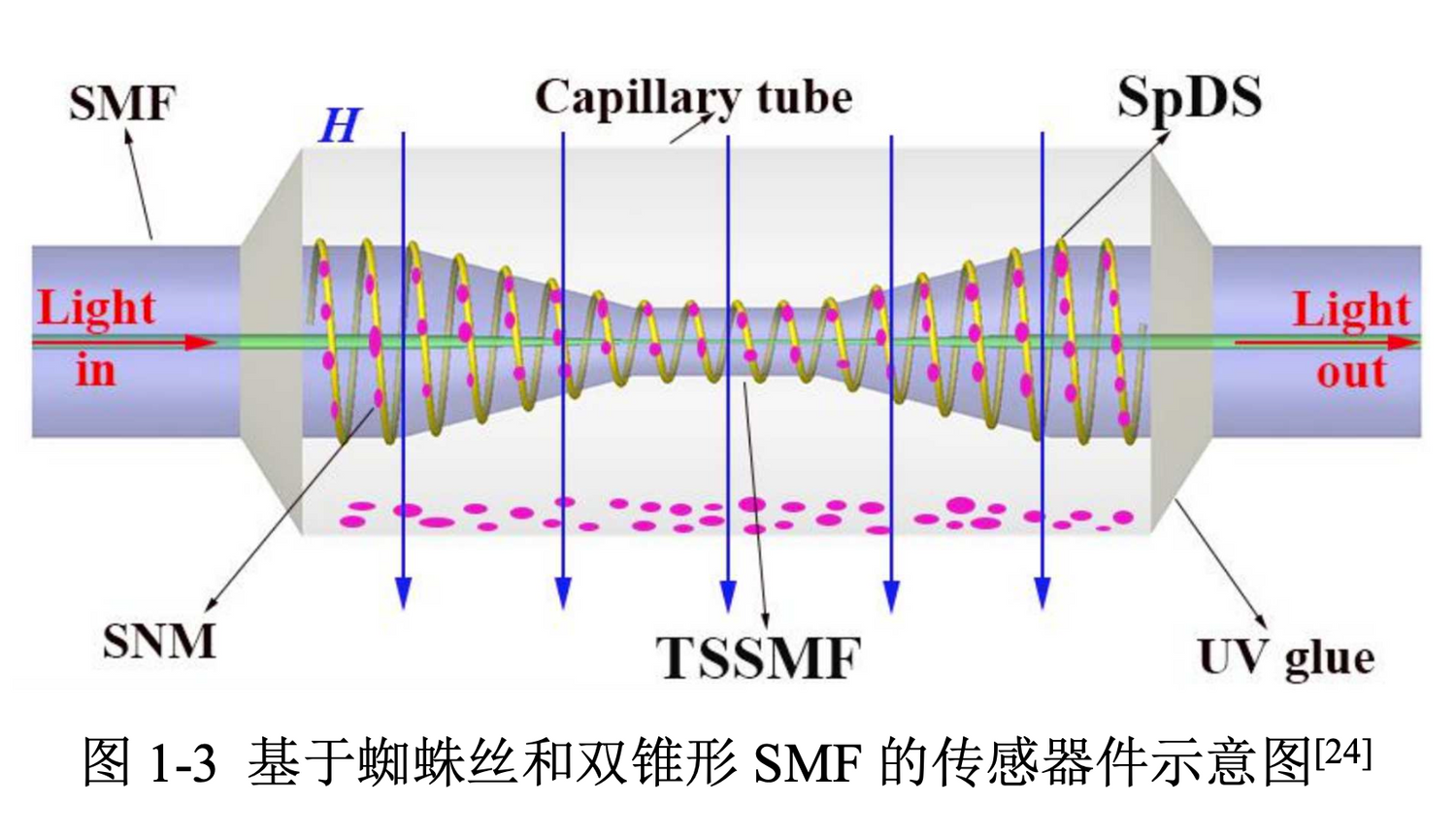 Research on Magnetic Field Sensor Based on Magnetic Fluid and L-shaped ...