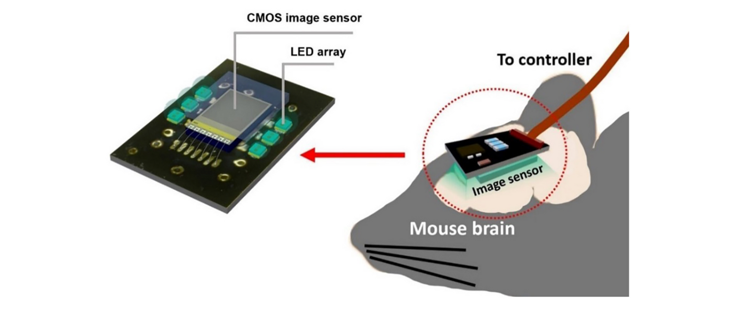 Self-Reset Image Sensor With a Signal-to-Noise Ratio Over 70 dB and It – SZPHOTON
