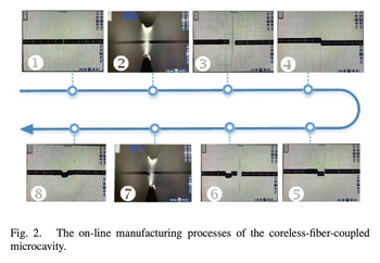 Label-Free Biosensor Based on Coreless-Fiber-Coupled Microcavity for P ...